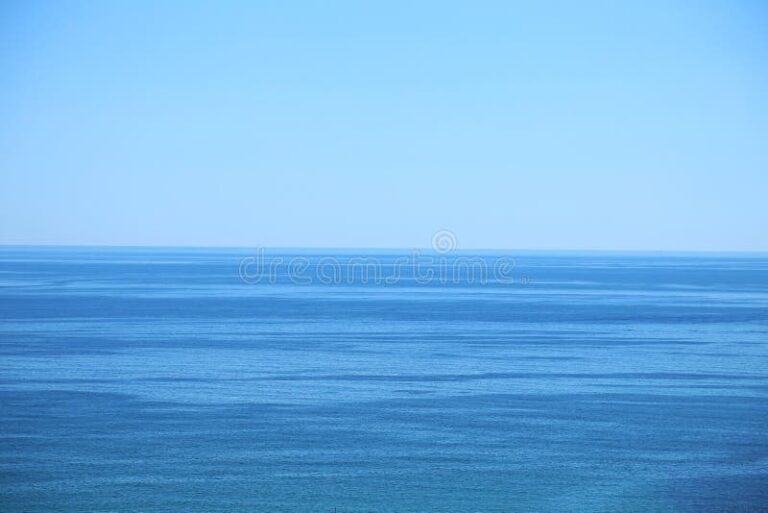 Descubre la perla tranquility: ¡Una joya del océano!