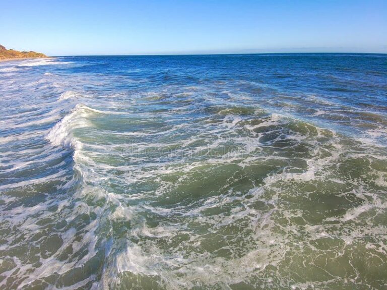 Perla Tiber: tesoro natural marino con características impresionantes