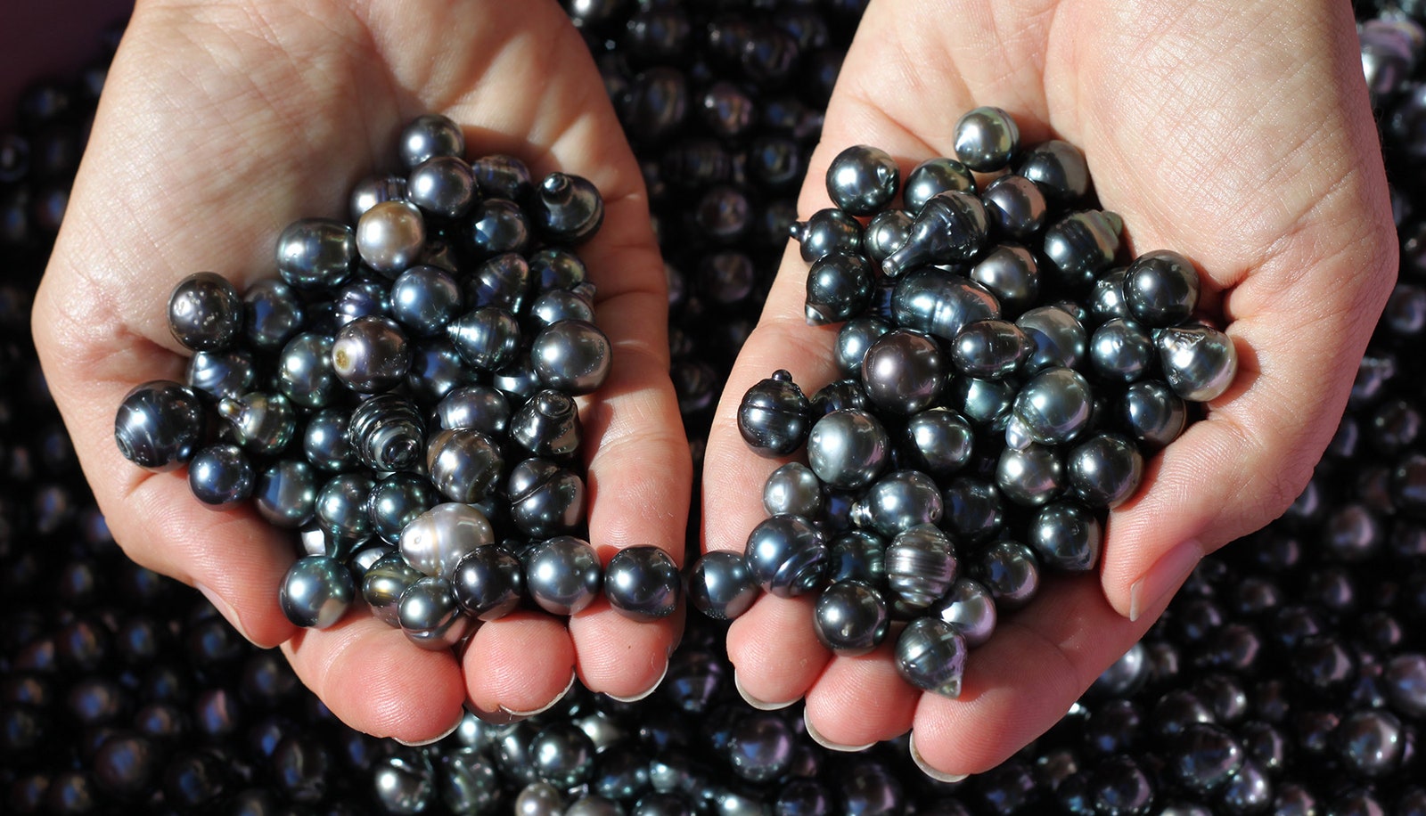 Descubre las fascinantes características de la perla negra de Tahití