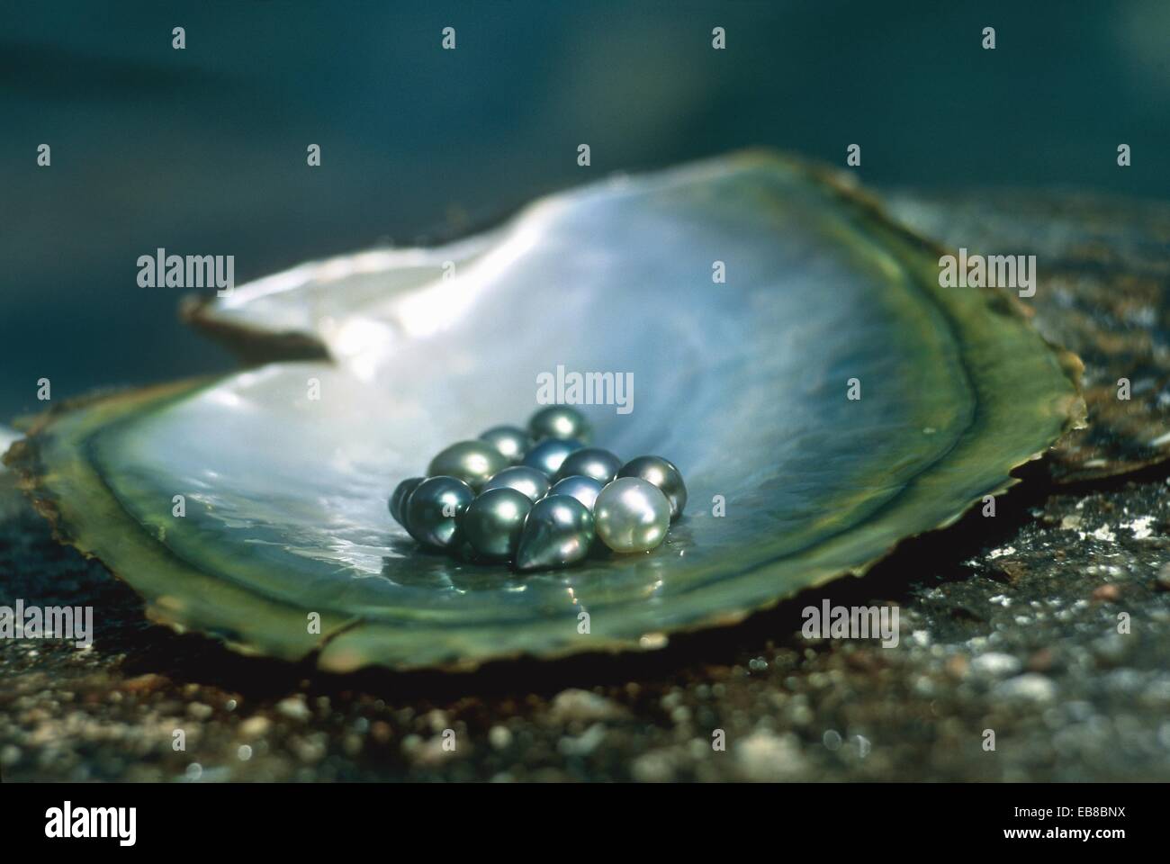 La fascinante historia de las perlas en las paradisiacas Seychelles